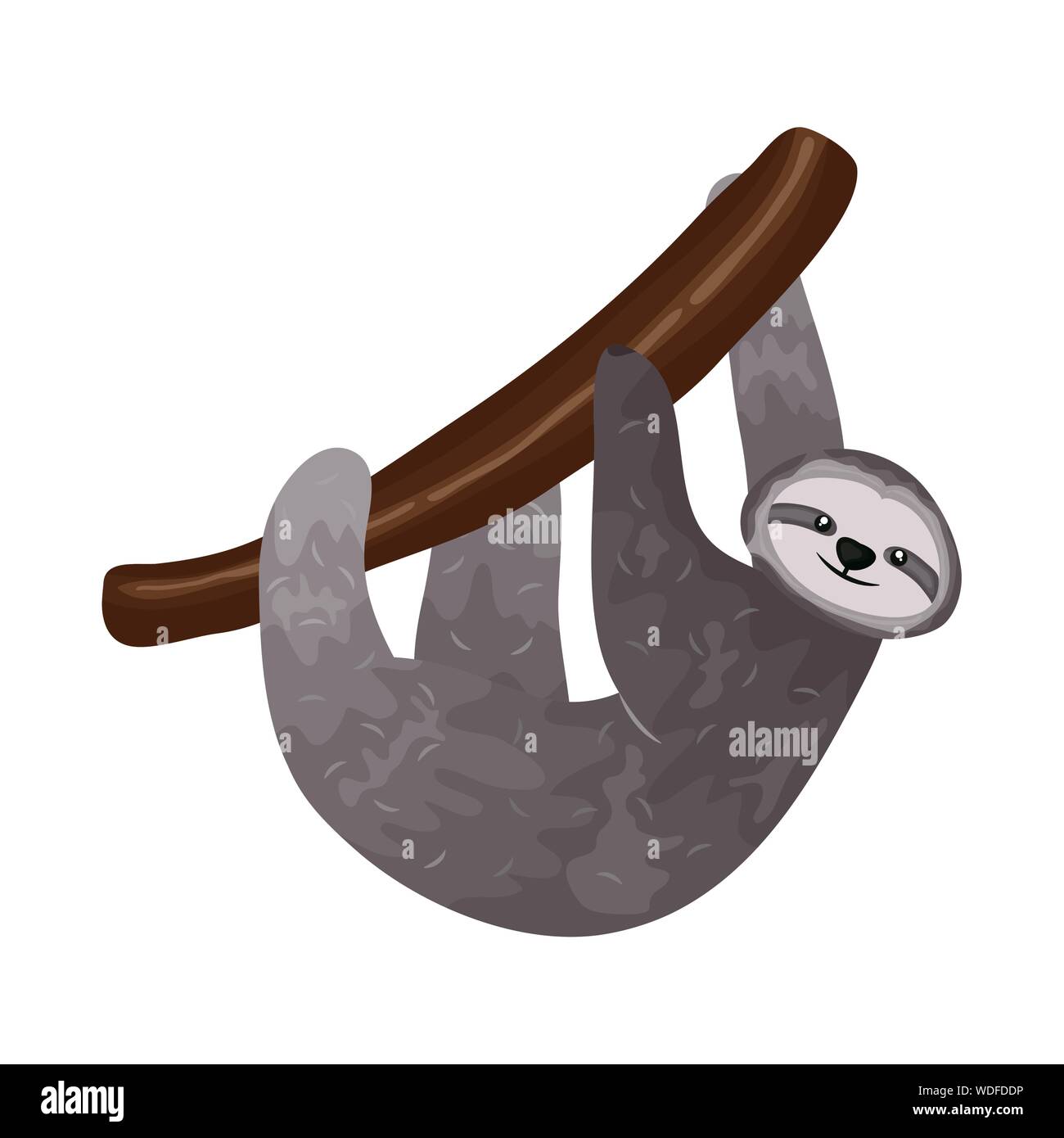 sloth nature animal desing vector illustration Stock Vector Image & Art ...