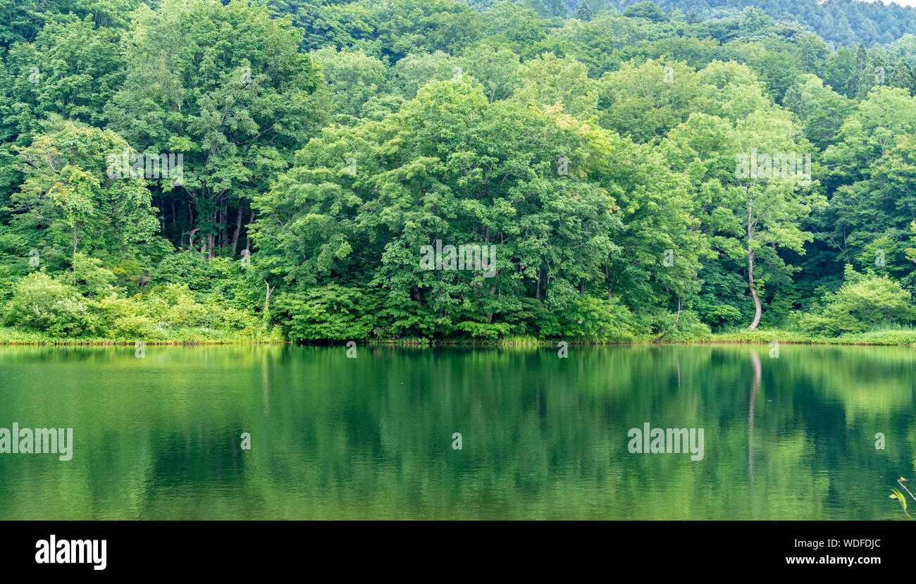 Panoramic view of Goshiki-numa lake in Nishikawa-machi, Yamagata ...