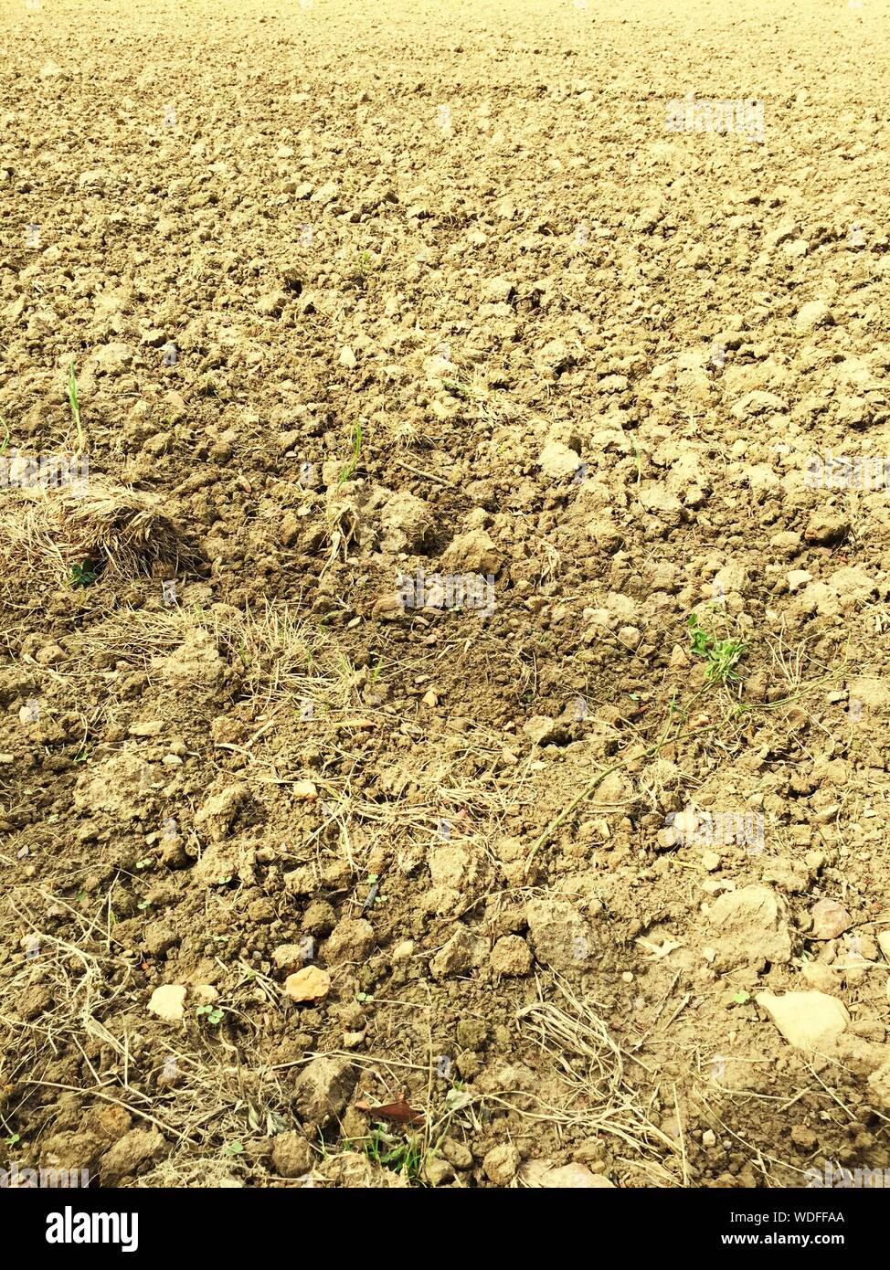 Plough field hi-res stock photography and images - Alamy