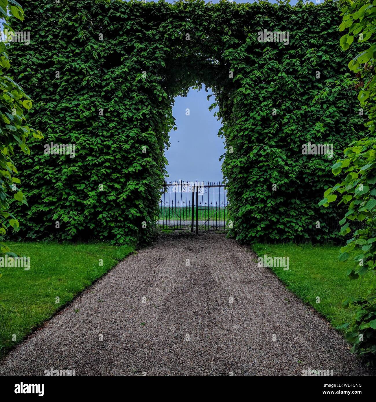 Ivy Gate High Resolution Stock Photography and Images - Alamy
