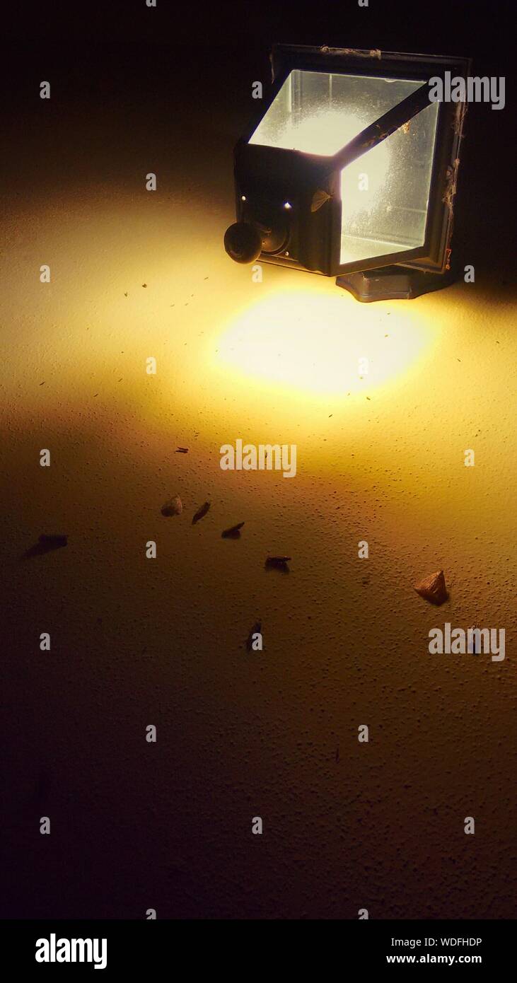 Moths in light hi-res stock photography and images - Alamy