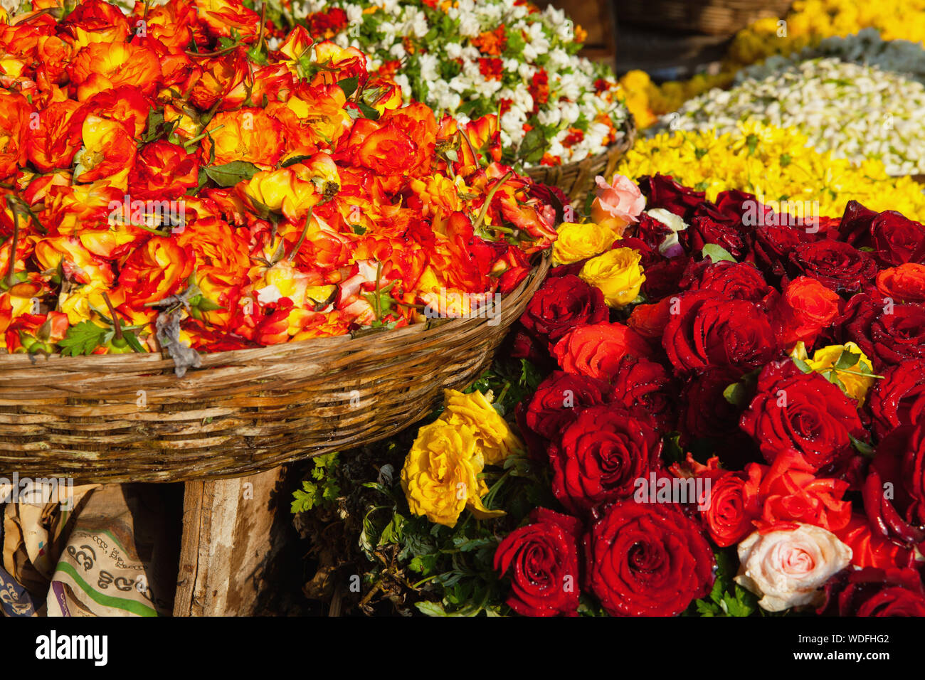 Nandyal hi-res stock photography and images - Alamy
