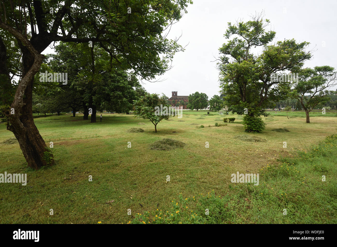 Open ground. Archaeological Monumental site. ASI complex. Old Goa ...