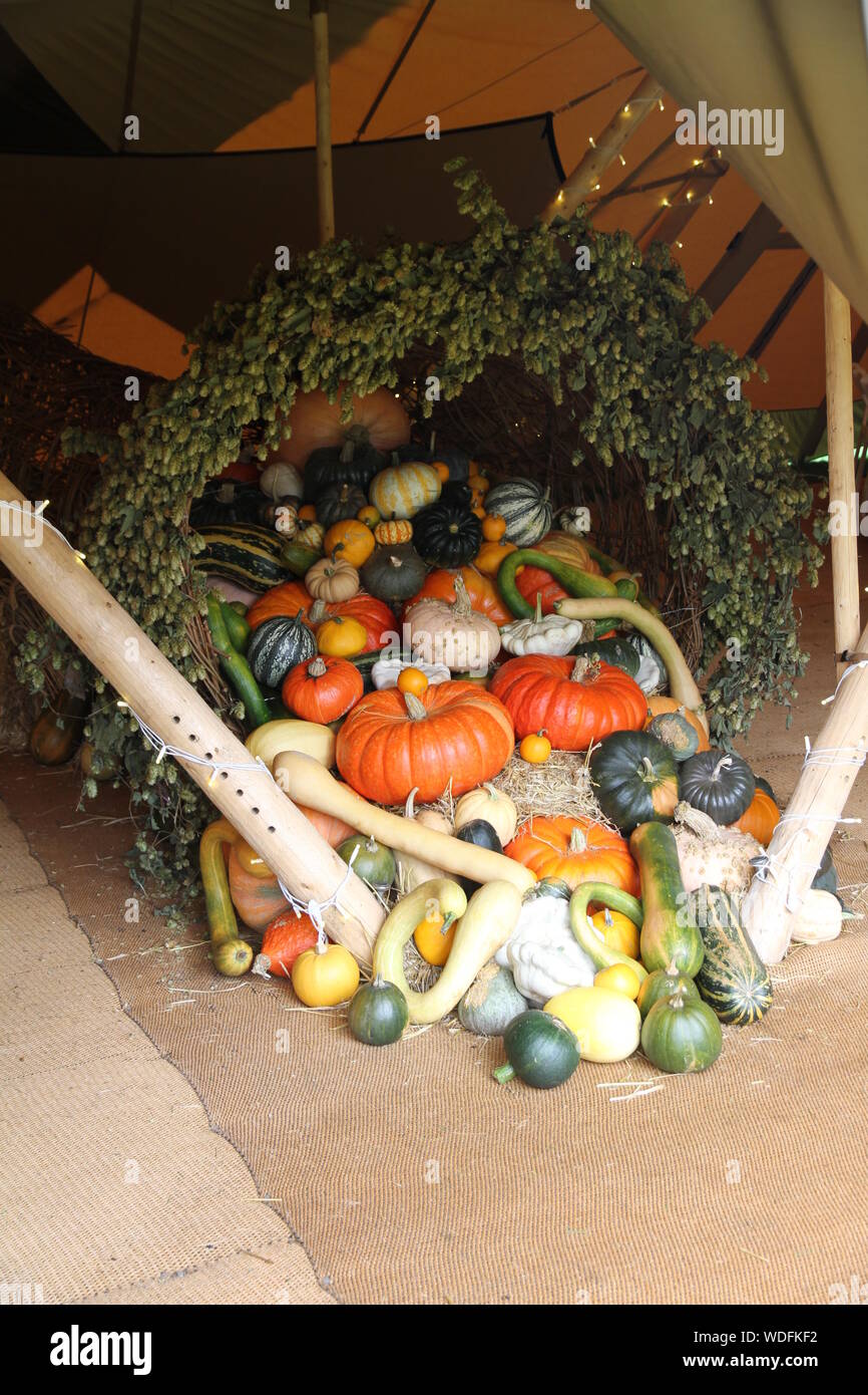Vegetable tent hi-res stock photography and images - Alamy