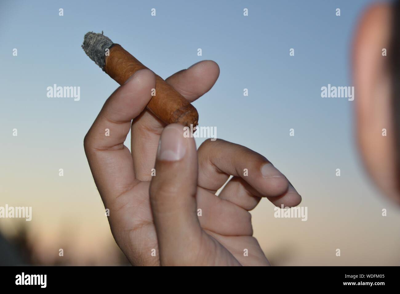 Hand holding cigar hi-res stock photography and images - Alamy