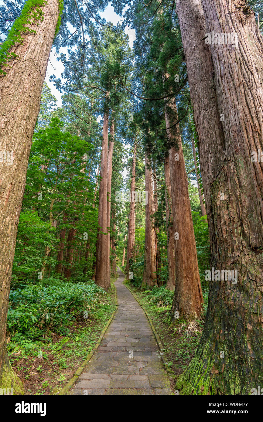Mount Haguro, One of the three sacred mountains of Dewa Province (Dewa ...