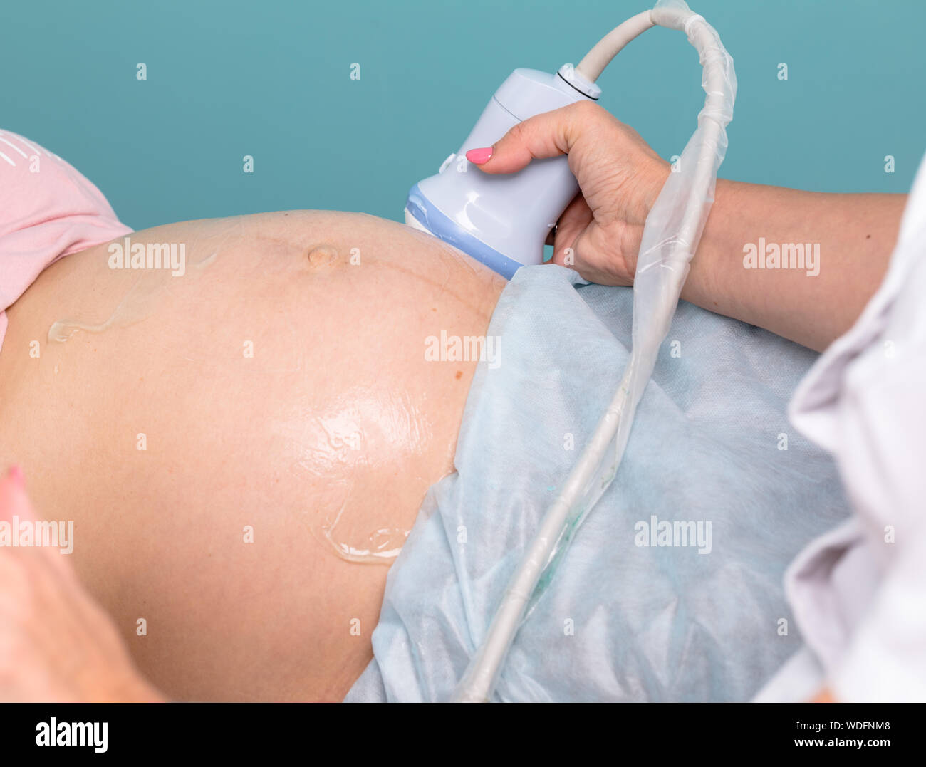 Sonographer scanning young pregnant woman's abdomen with ultrasonic ...