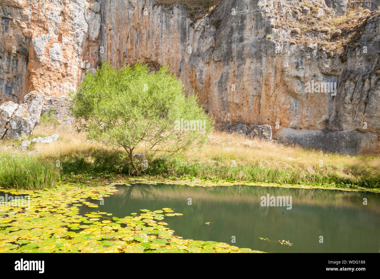 Natural Park Cañon de Río Lobos - Canyon of Wolves River -, Soria ...