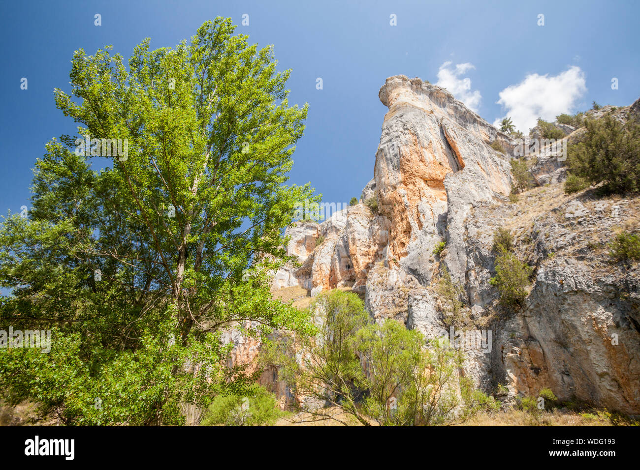 Canon del rio lobos natural park hi-res stock photography and images ...