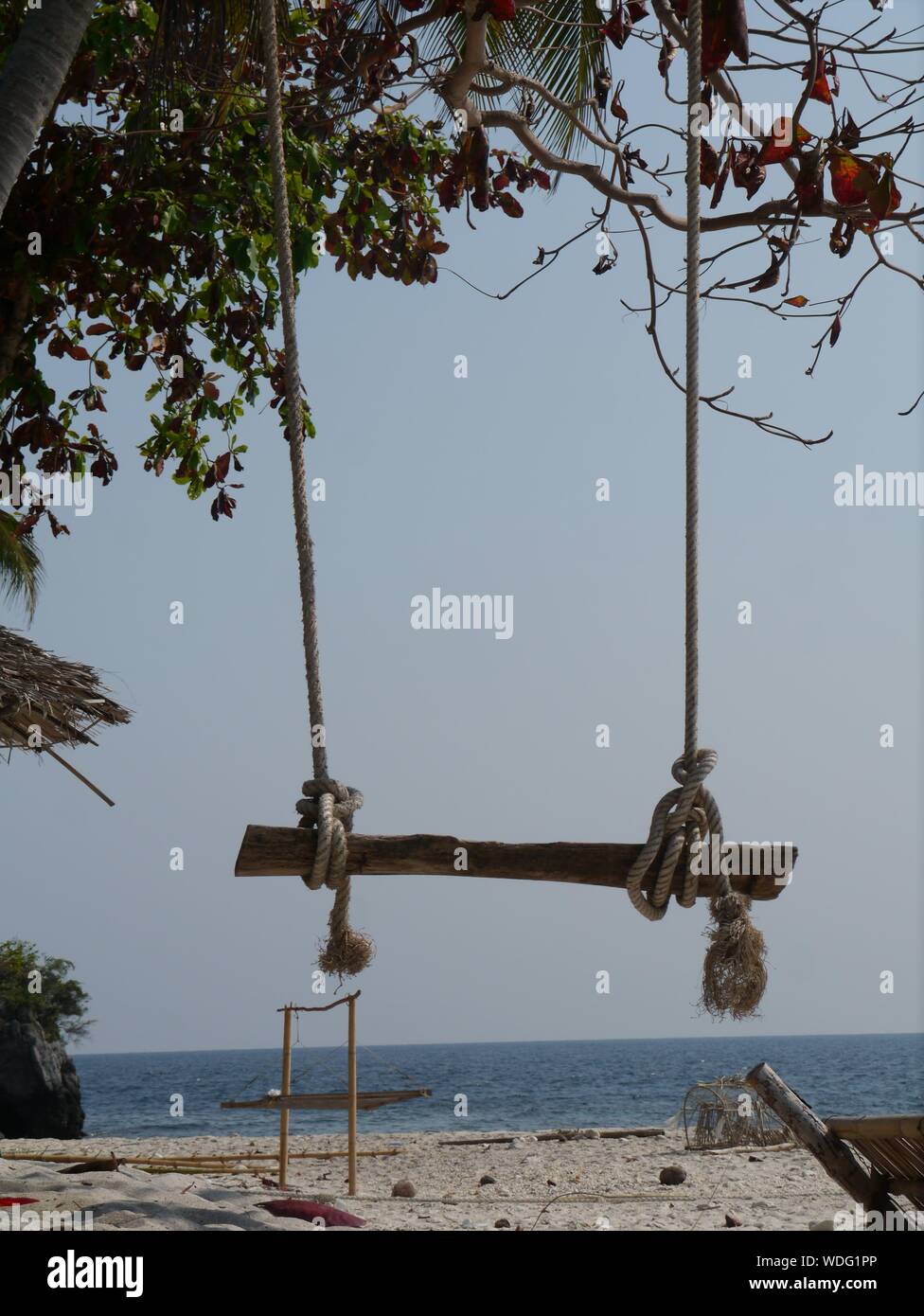 Tree Over Water Rope Swing High Resolution Stock Photography and Images ...