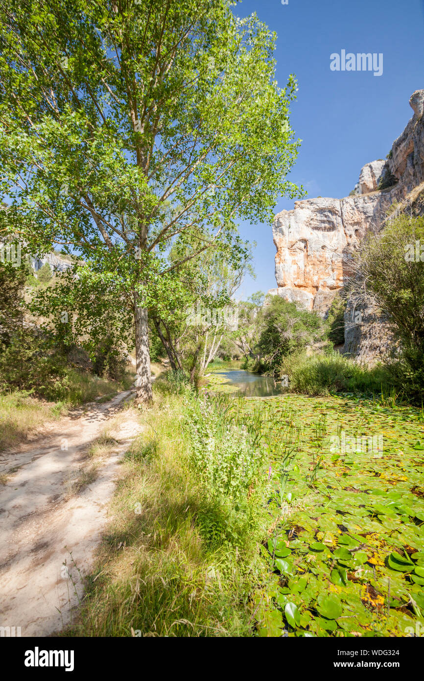 Natural Park Cañon de Río Lobos - Canyon of Wolves River -, Soria ...