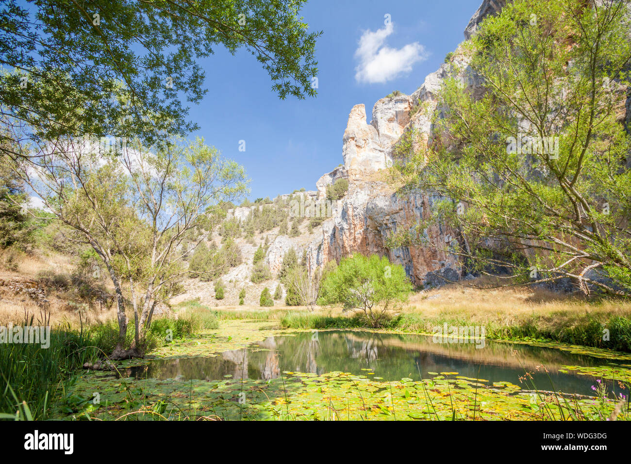 Natural Park Cañon de Río Lobos - Canyon of Wolves River -, Soria ...