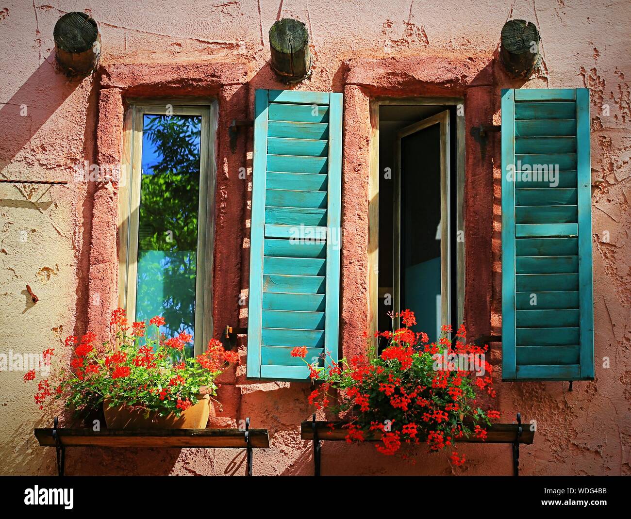 Plant for window box hi-res stock photography and images - Alamy