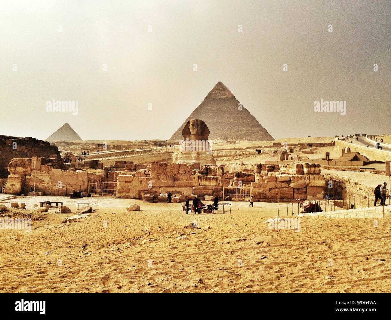 Egyptian features hi-res stock photography and images - Alamy