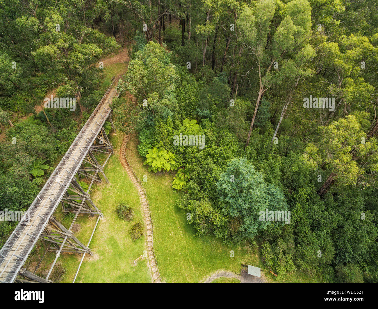 Railway trees hi-res stock photography and images - Alamy
