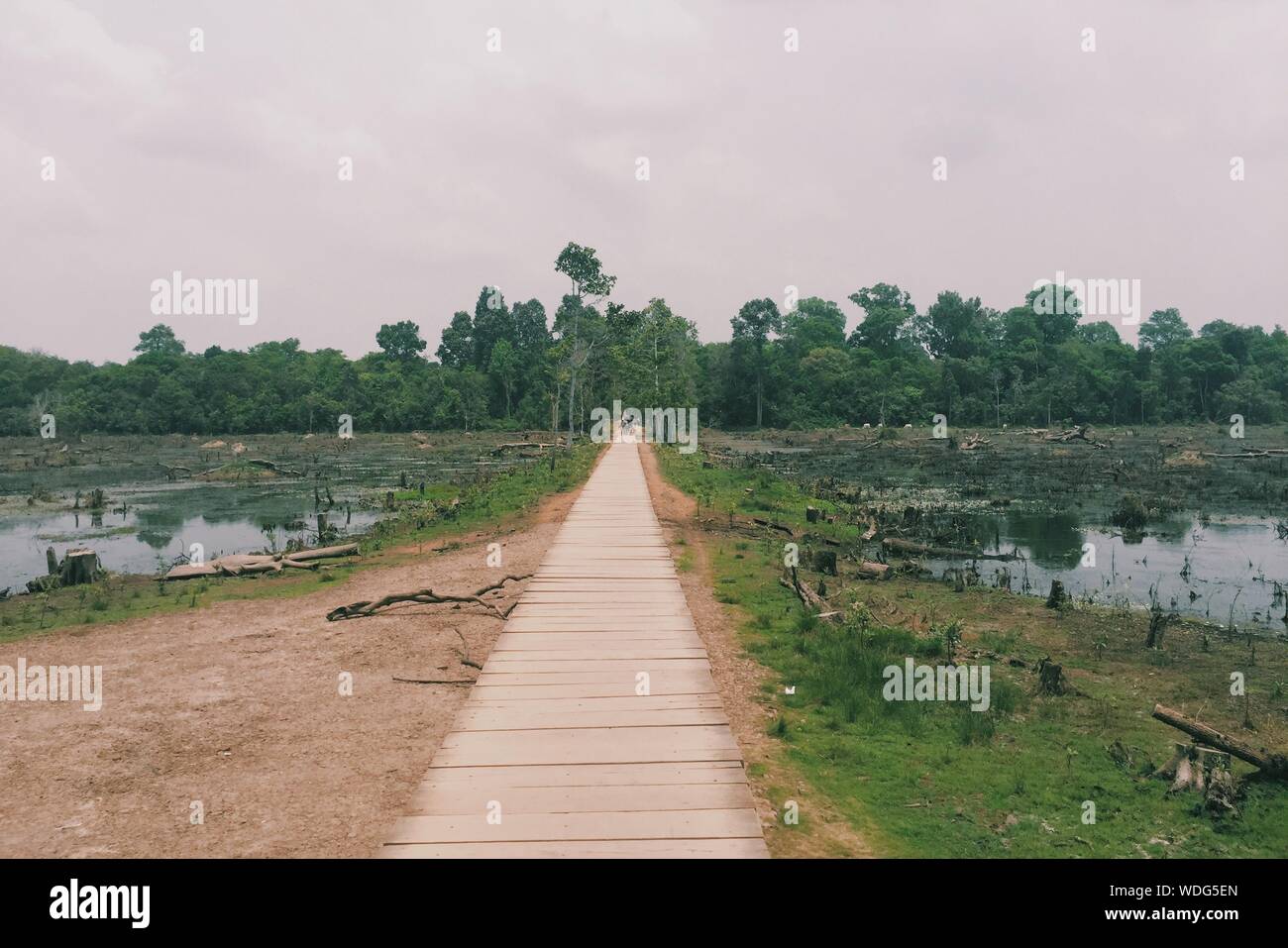 Narrow marsh hi-res stock photography and images - Alamy
