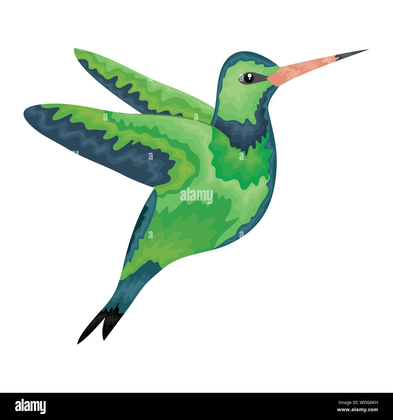 hummingbird vector illustration desing nature Stock Vector Image & Art ...