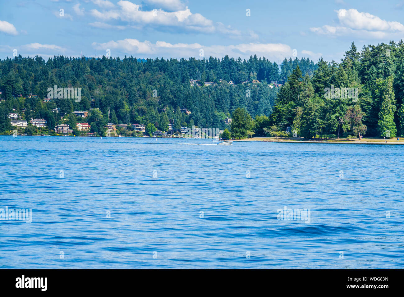 A view of homes along Lake Washington in Seattle Stock Photo - Alamy