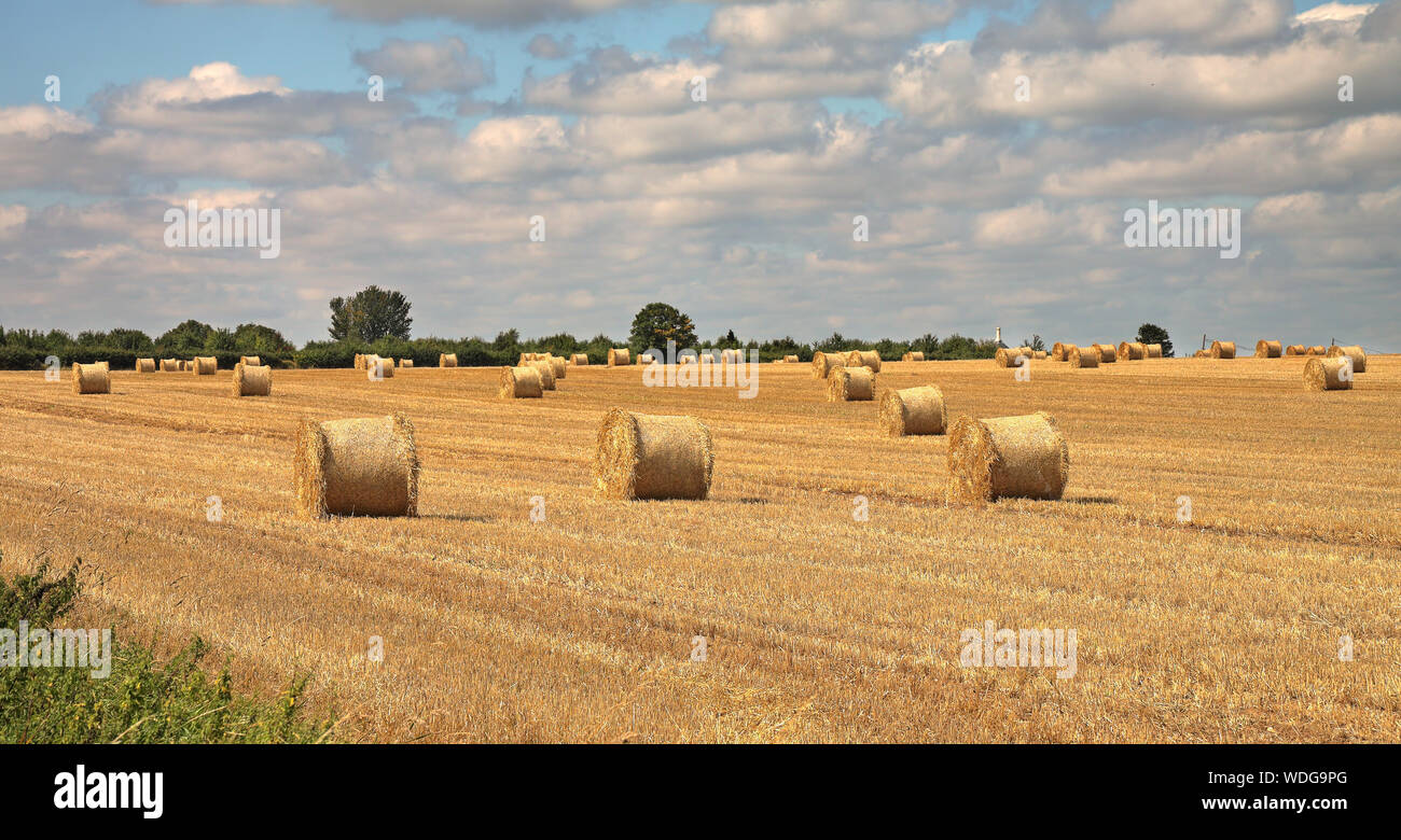 Circular bales hi-res stock photography and images - Alamy