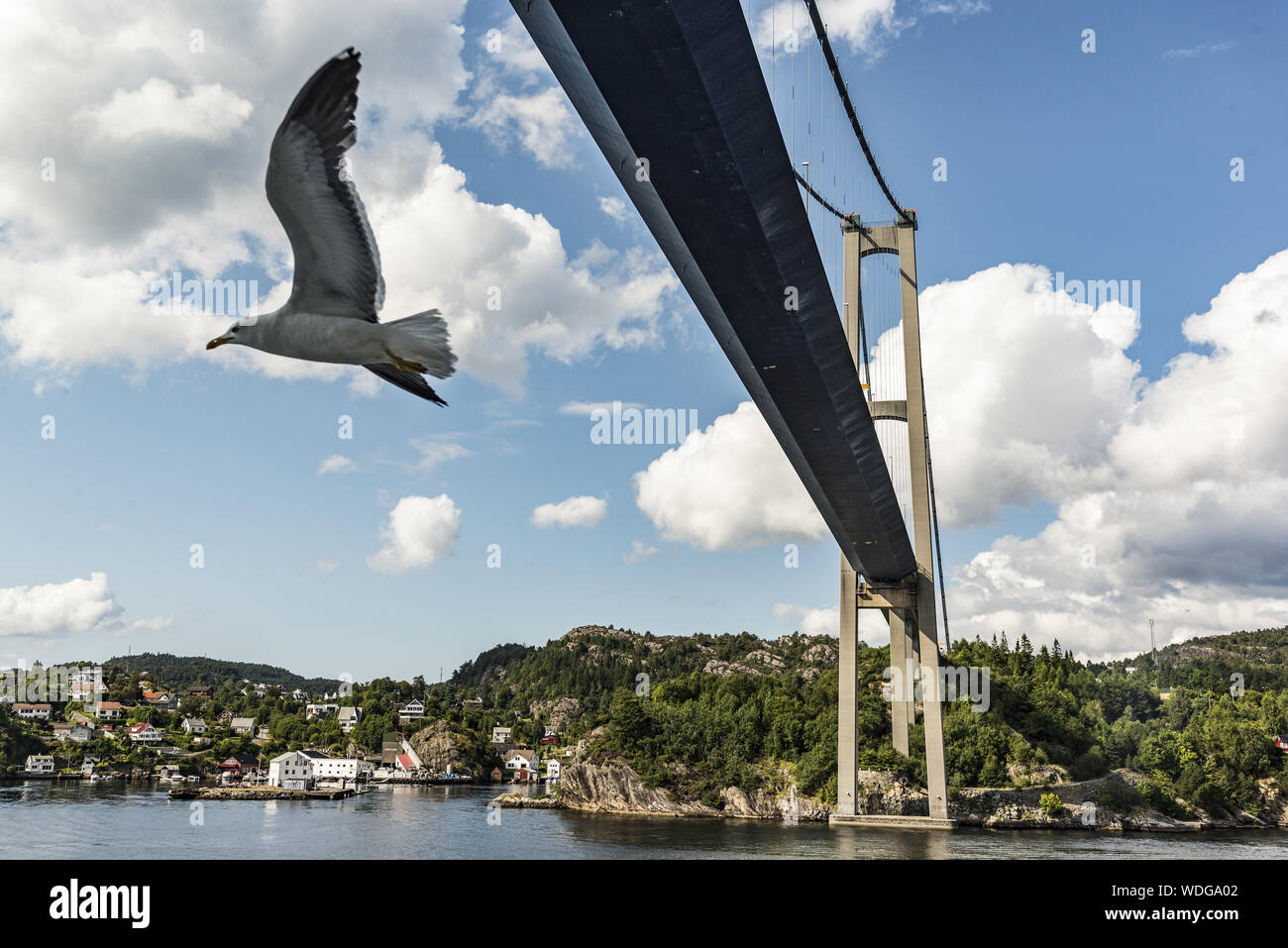 Flying under bridge hi-res stock photography and images - Alamy