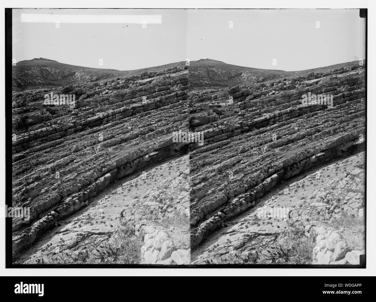 Geology. Inclined limestone bed at Ain Farah Abstract/medium: G. Eric ...