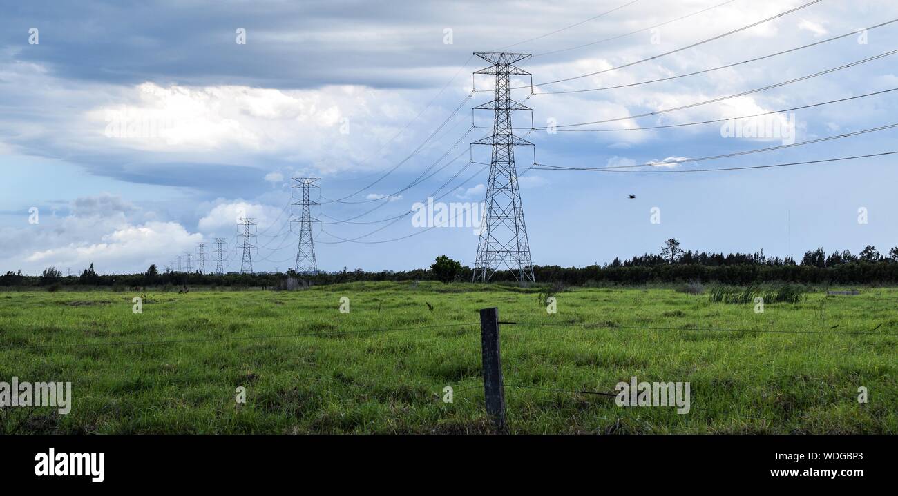 Electrical field hi-res stock photography and images - Alamy