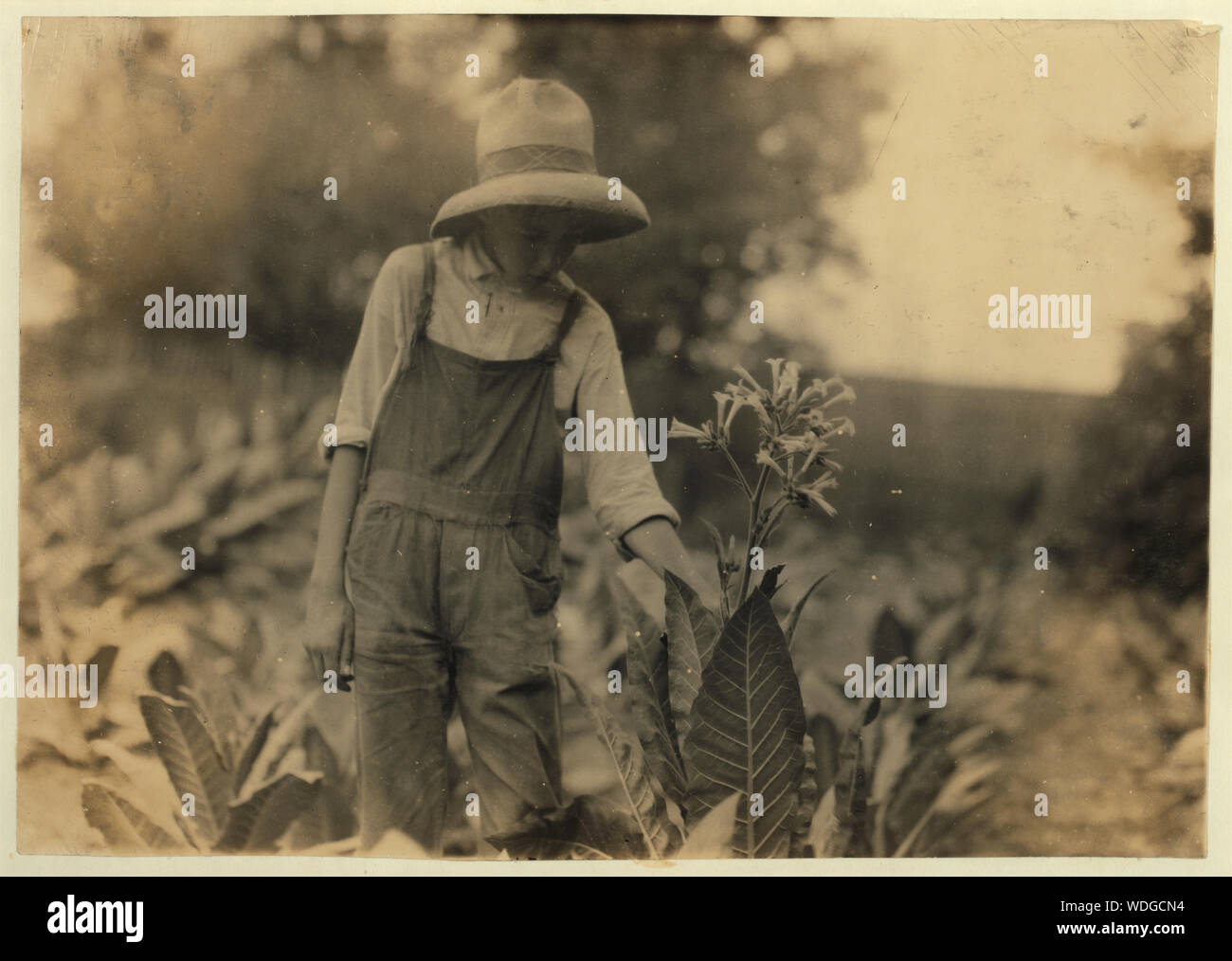 Old school bell from hi-res stock photography and images - Alamy