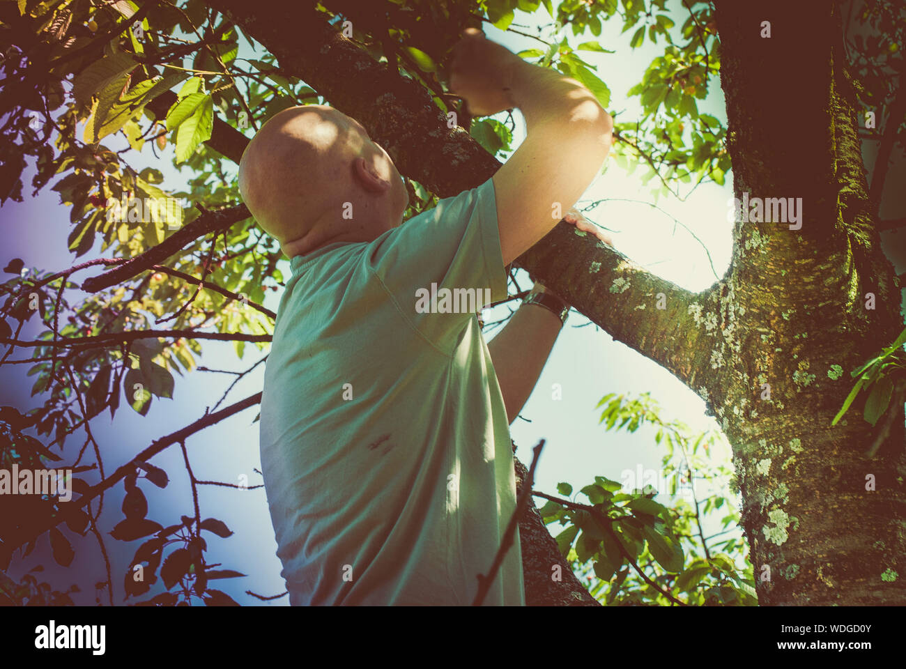 Man hanging hi-res stock photography and images - Alamy