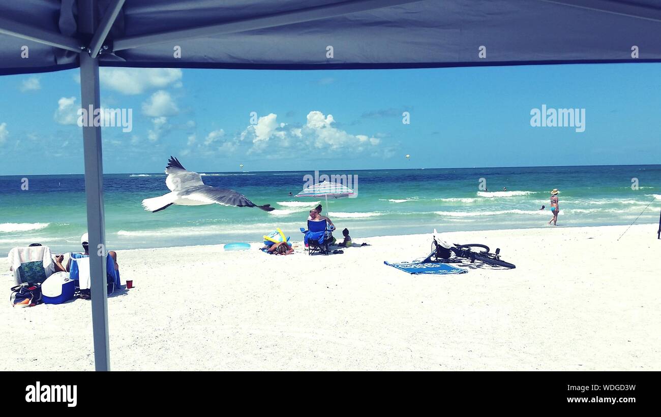 Bird people hi-res stock photography and images - Alamy