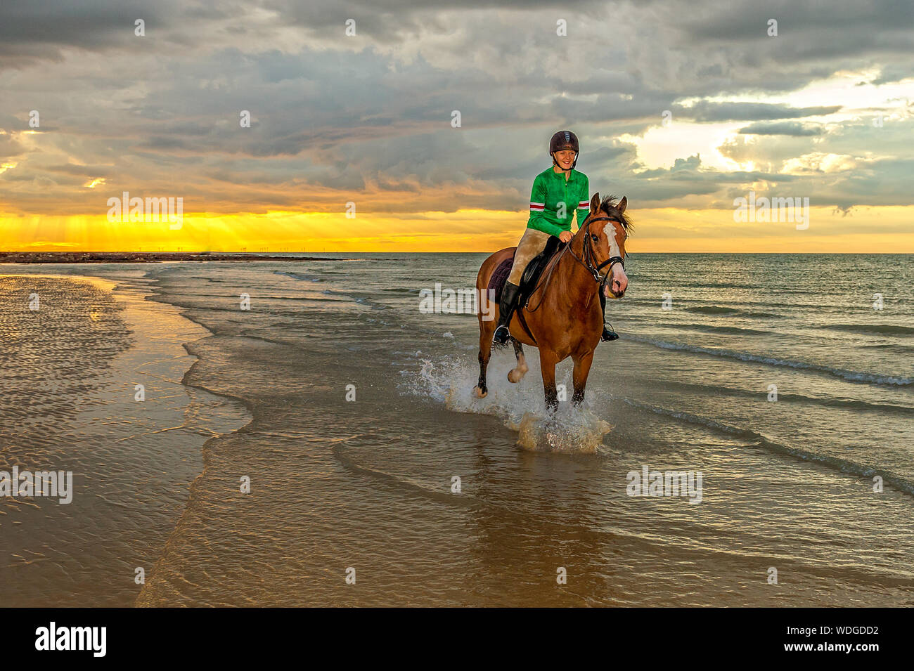 Woman riding horse sea hi-res stock photography and images - Alamy