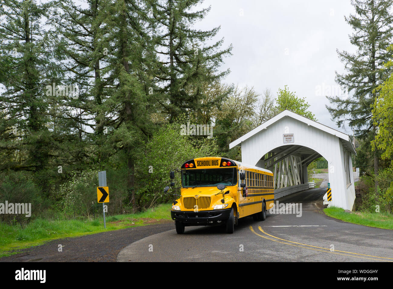 School Bus High Resolution Stock Photography and Images - Alamy