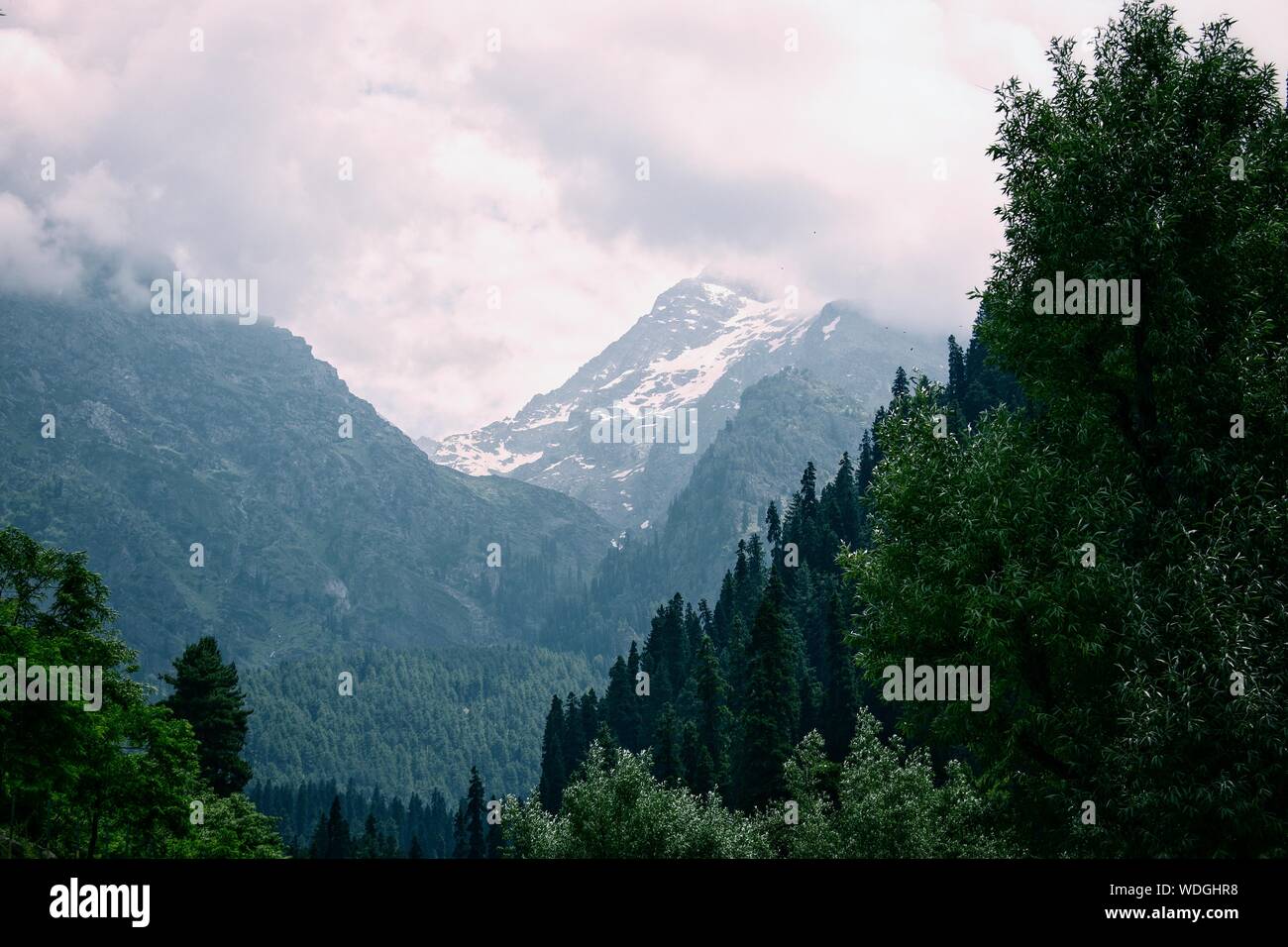 Kashmir gulmarg hi-res stock photography and images - Alamy