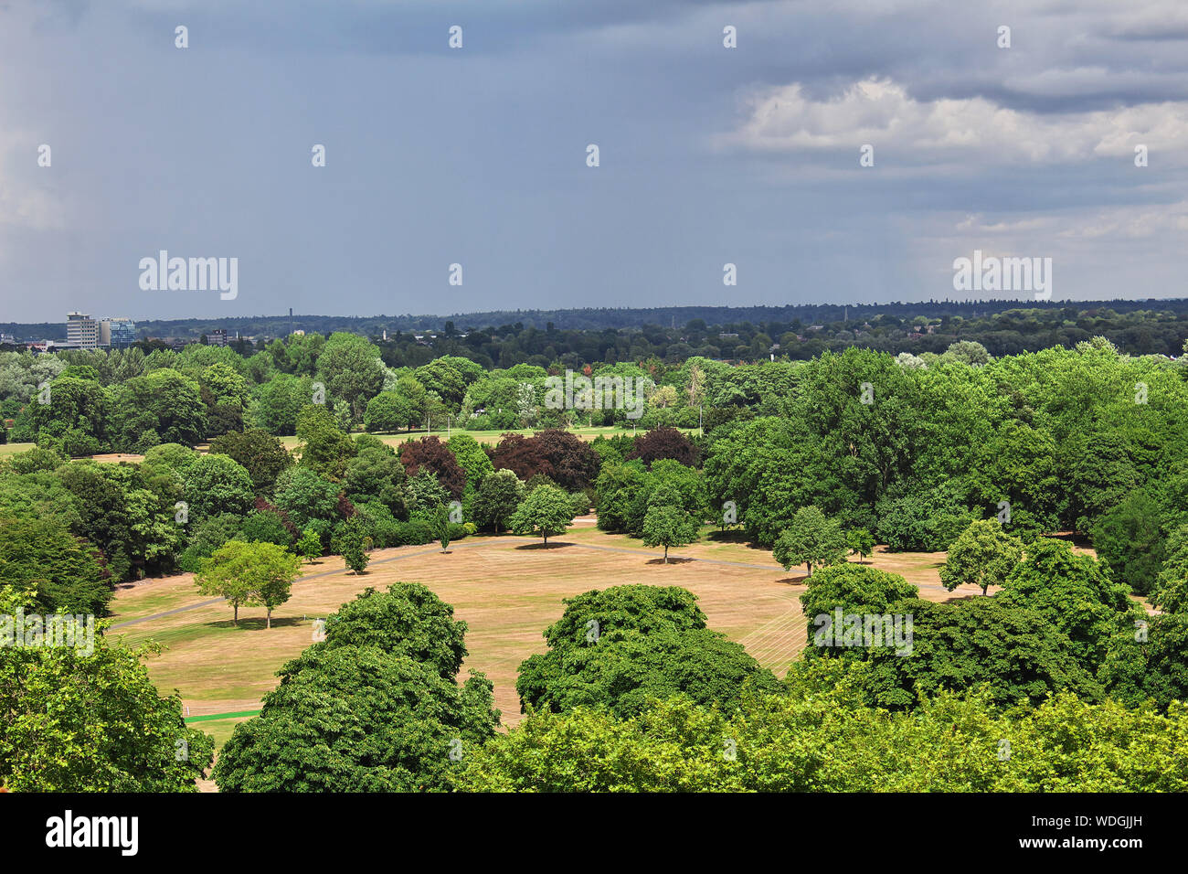 Windsor forest uk hi-res stock photography and images - Alamy