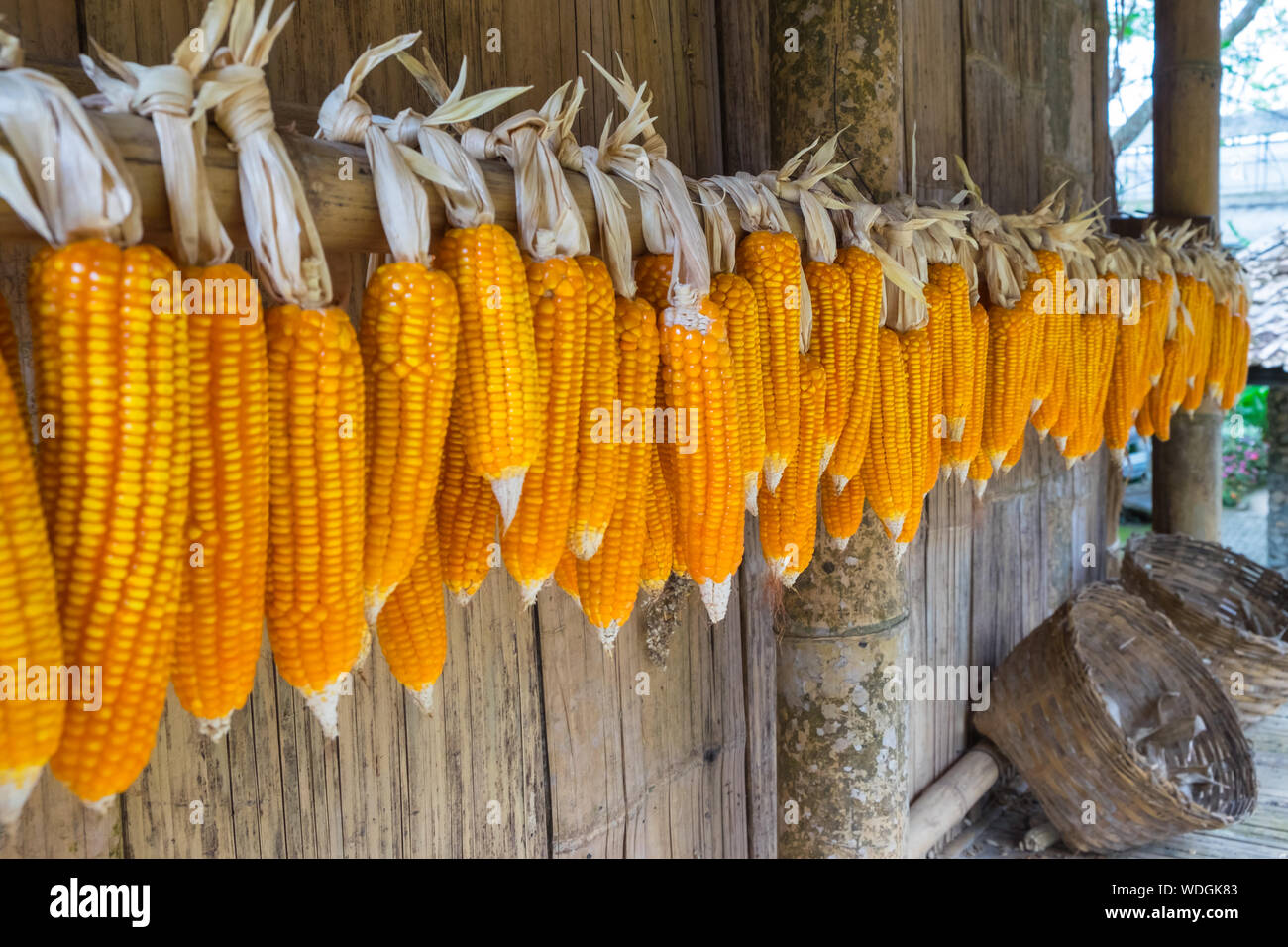 Cob wall building hi-res stock photography and images - Alamy