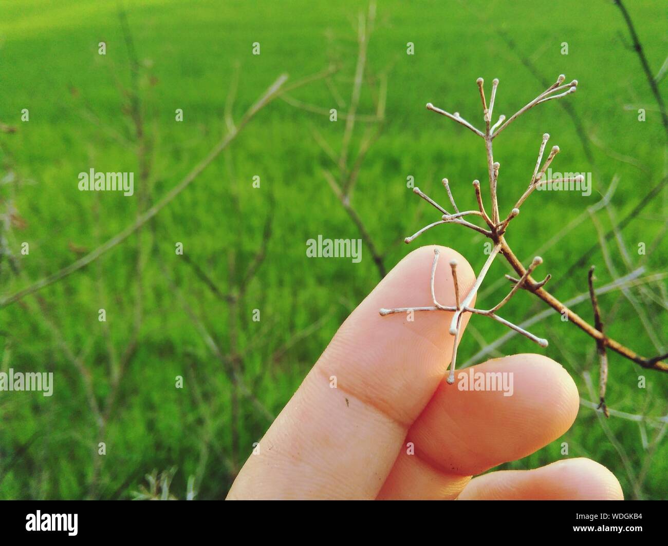 Dead finger hi-res stock photography and images - Alamy