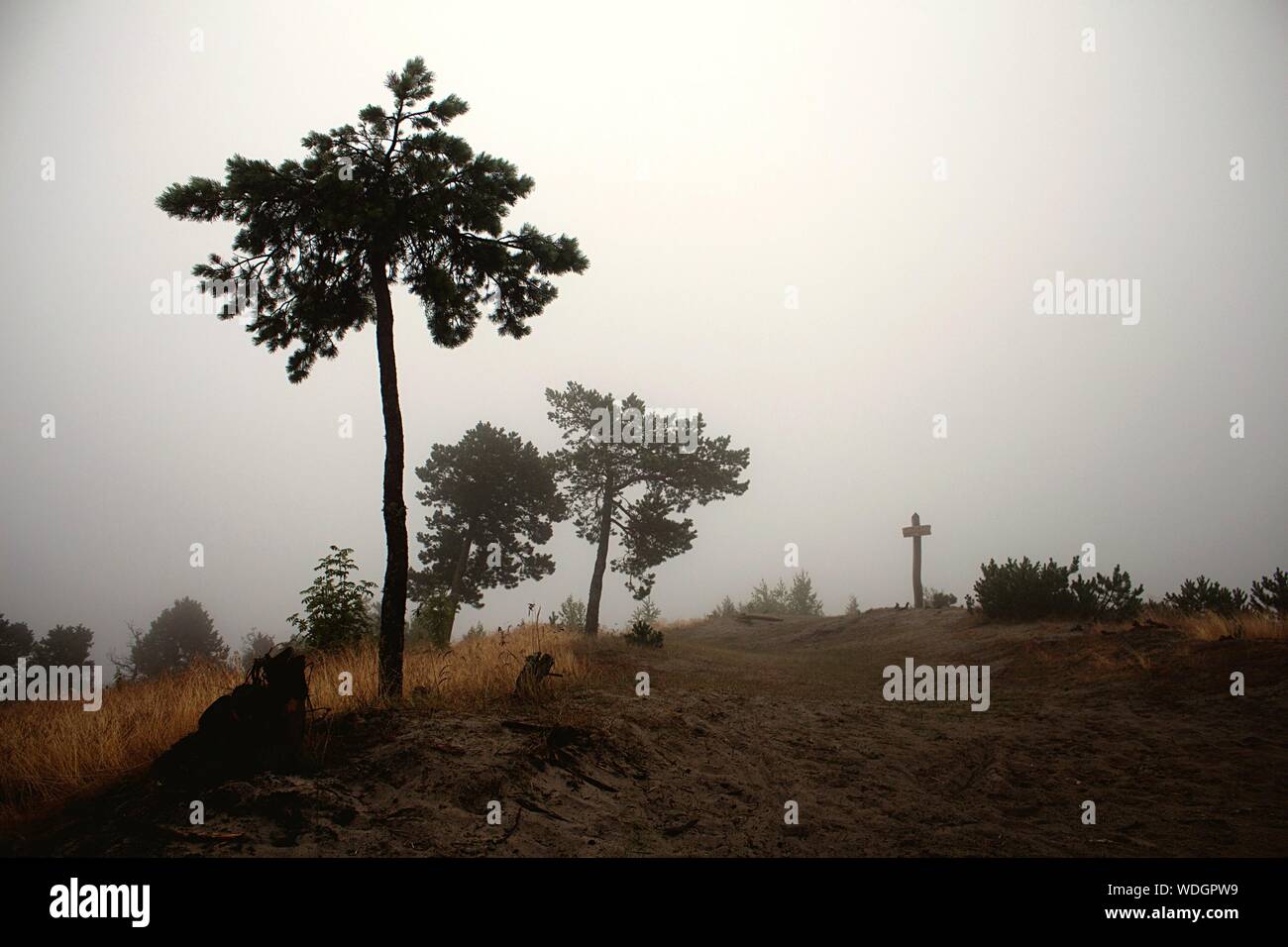 Weather cross hi-res stock photography and images - Alamy