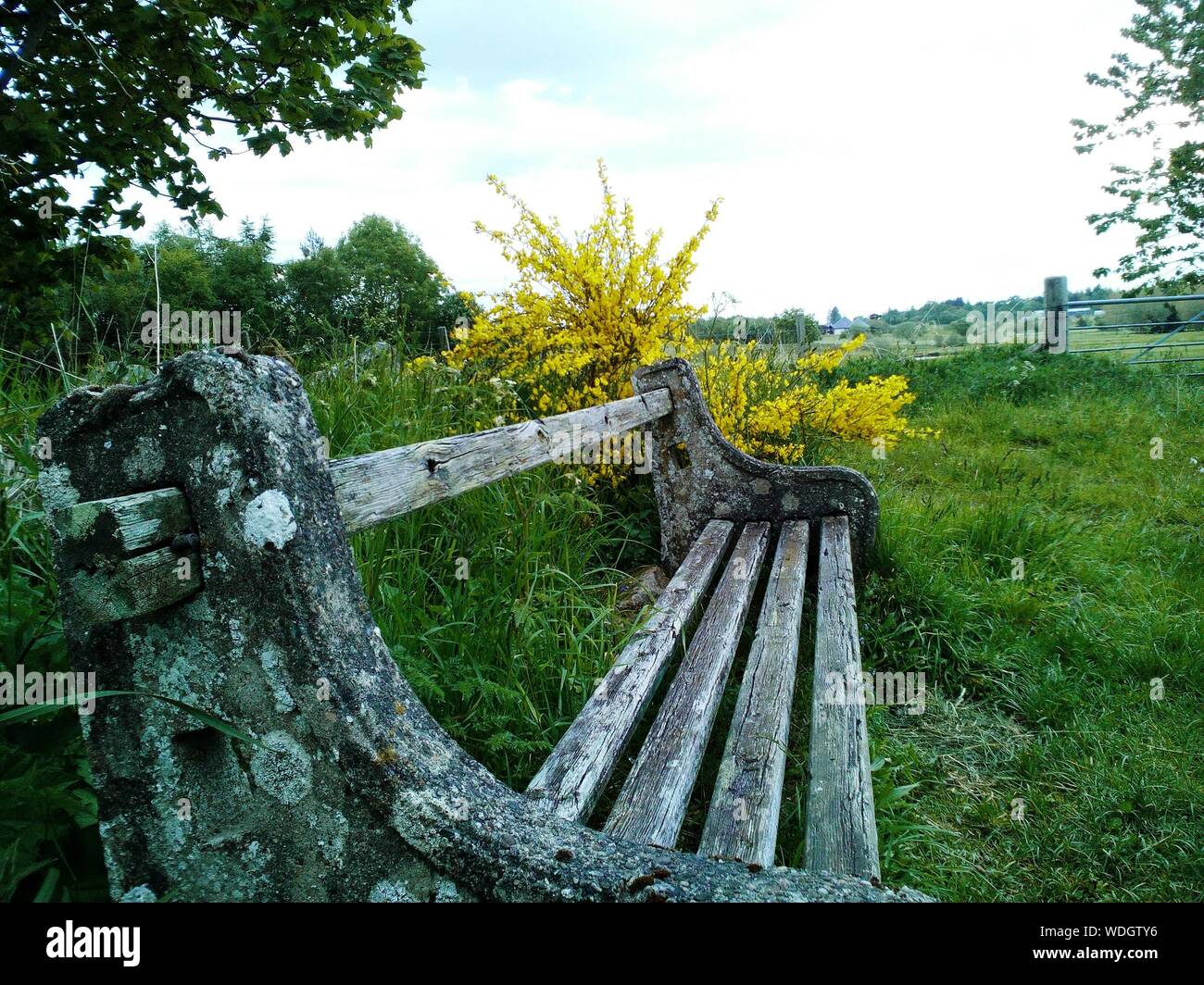 Old bench hi-res stock photography and images - Alamy