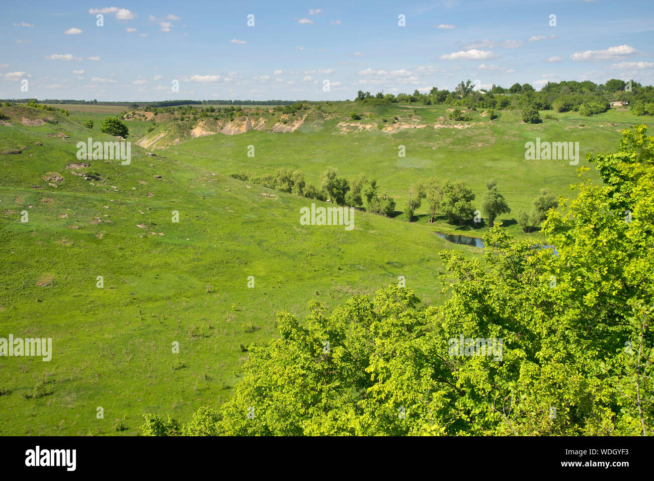 Lipetsk tourist attractions hi-res stock photography and images - Alamy