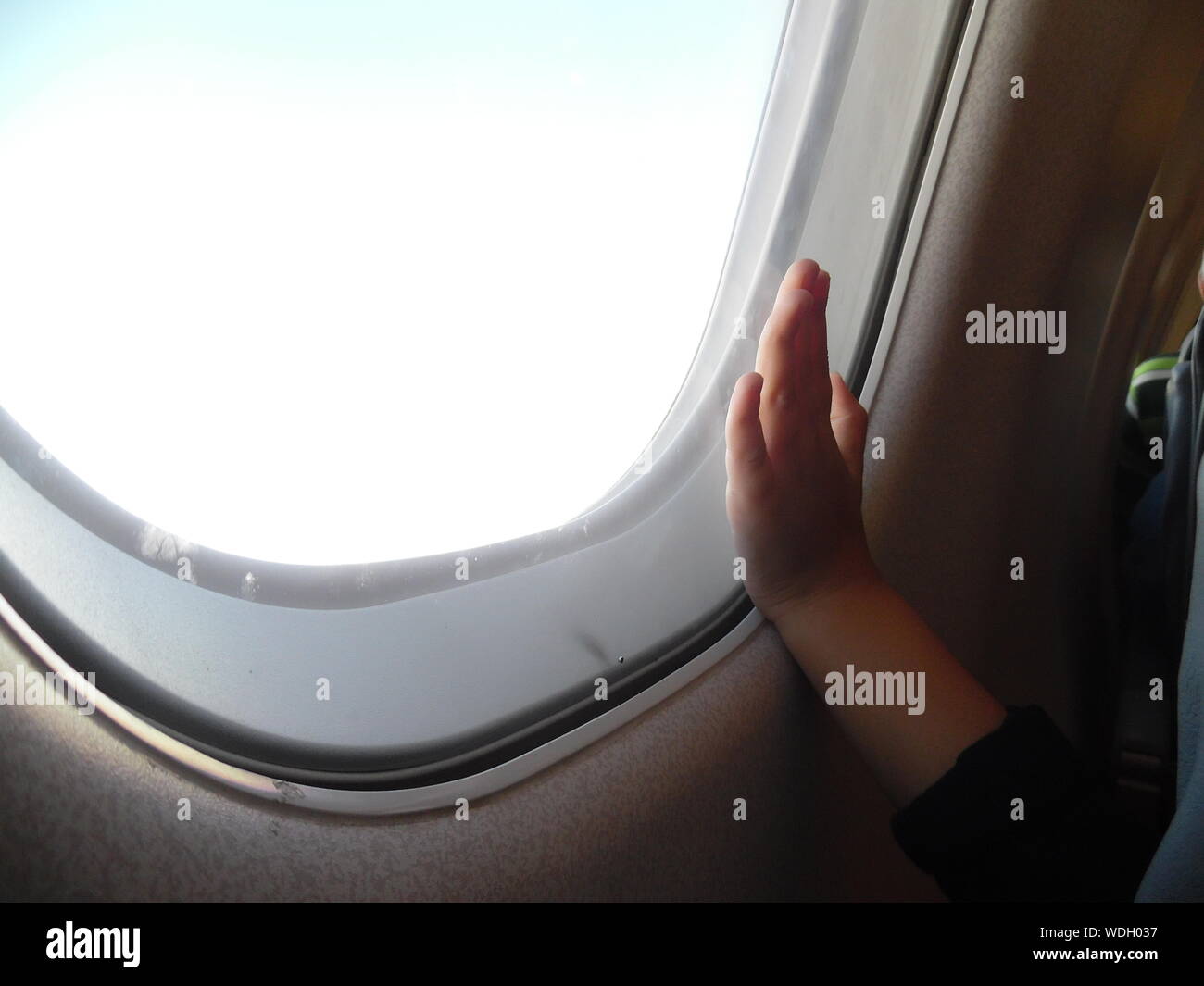 Human hand on airplane window hi-res stock photography and images - Alamy