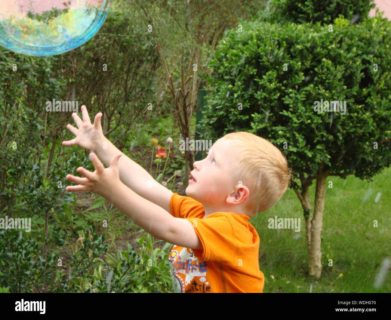 Boy reaching up hi-res stock photography and images - Alamy