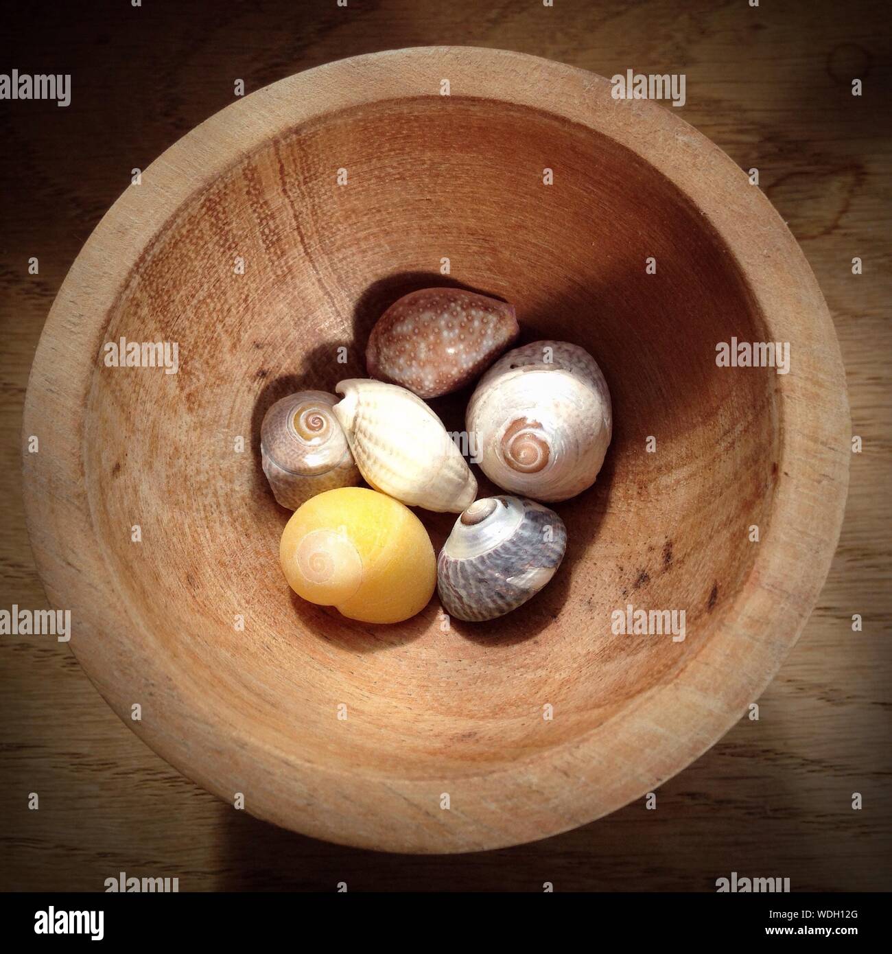 Shell collection bowl hi-res stock photography and images - Alamy