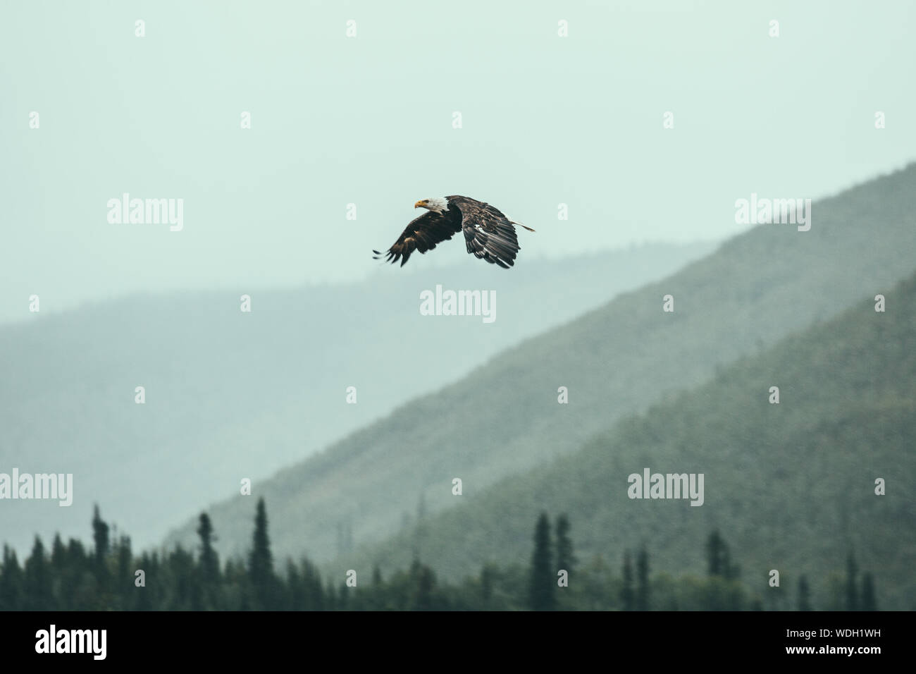 Bald mountain range hi-res stock photography and images - Alamy