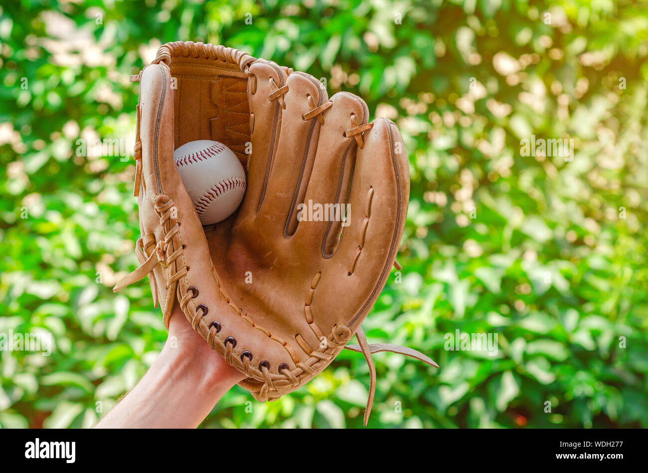 Hand catching leaves hi-res stock photography and images - Alamy