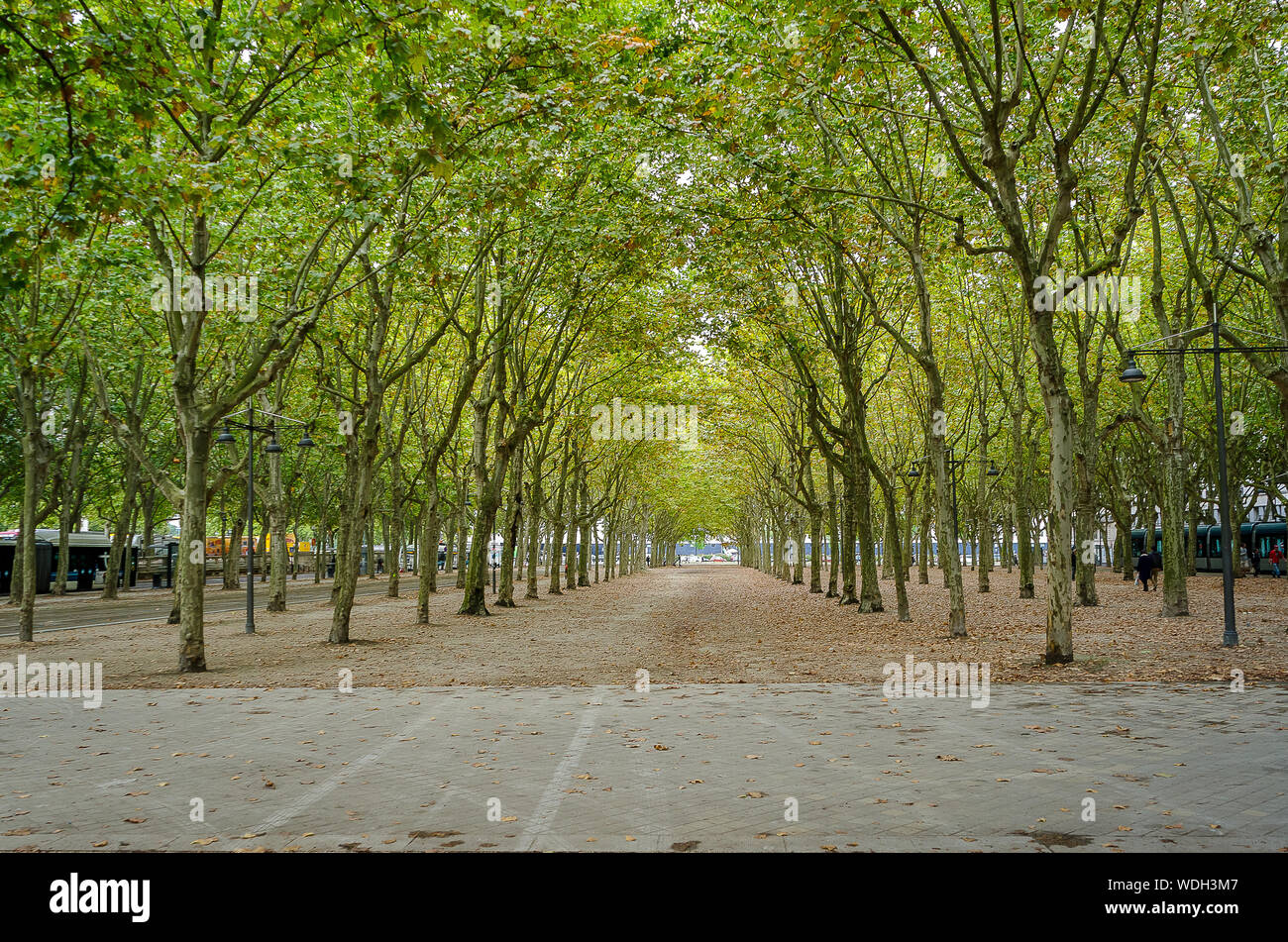 Park of the city of Bordeaux. France Stock Photo - Alamy