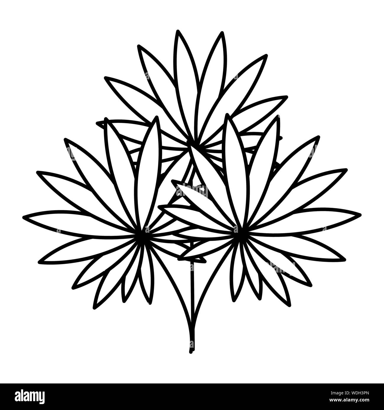 Ornamental plant motifs Stock Vector Images - Alamy