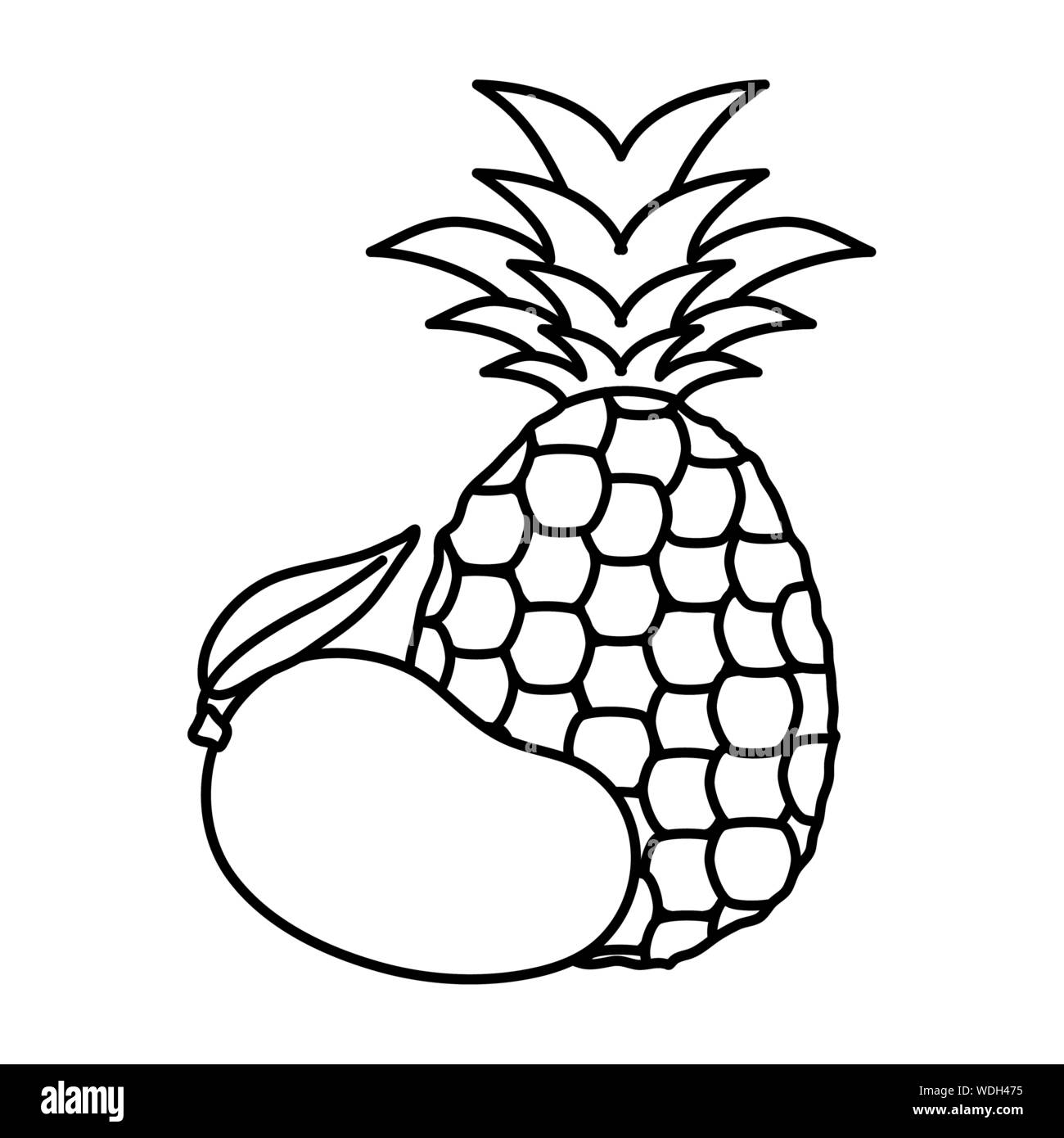 fresh mango and pineapple fruits vector illustration design Stock ...