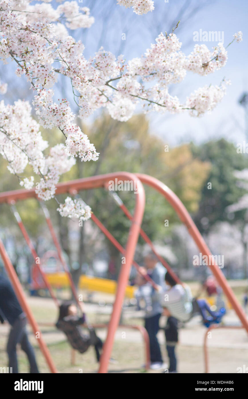Child swinging tree branch hi-res stock photography and images - Alamy