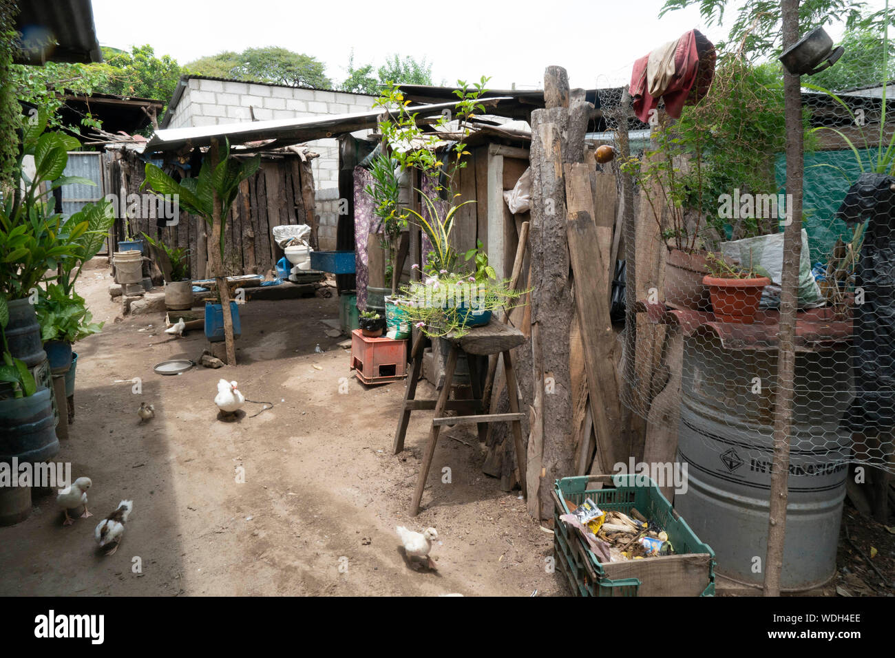 Young Bob Morales Ritchie Valens