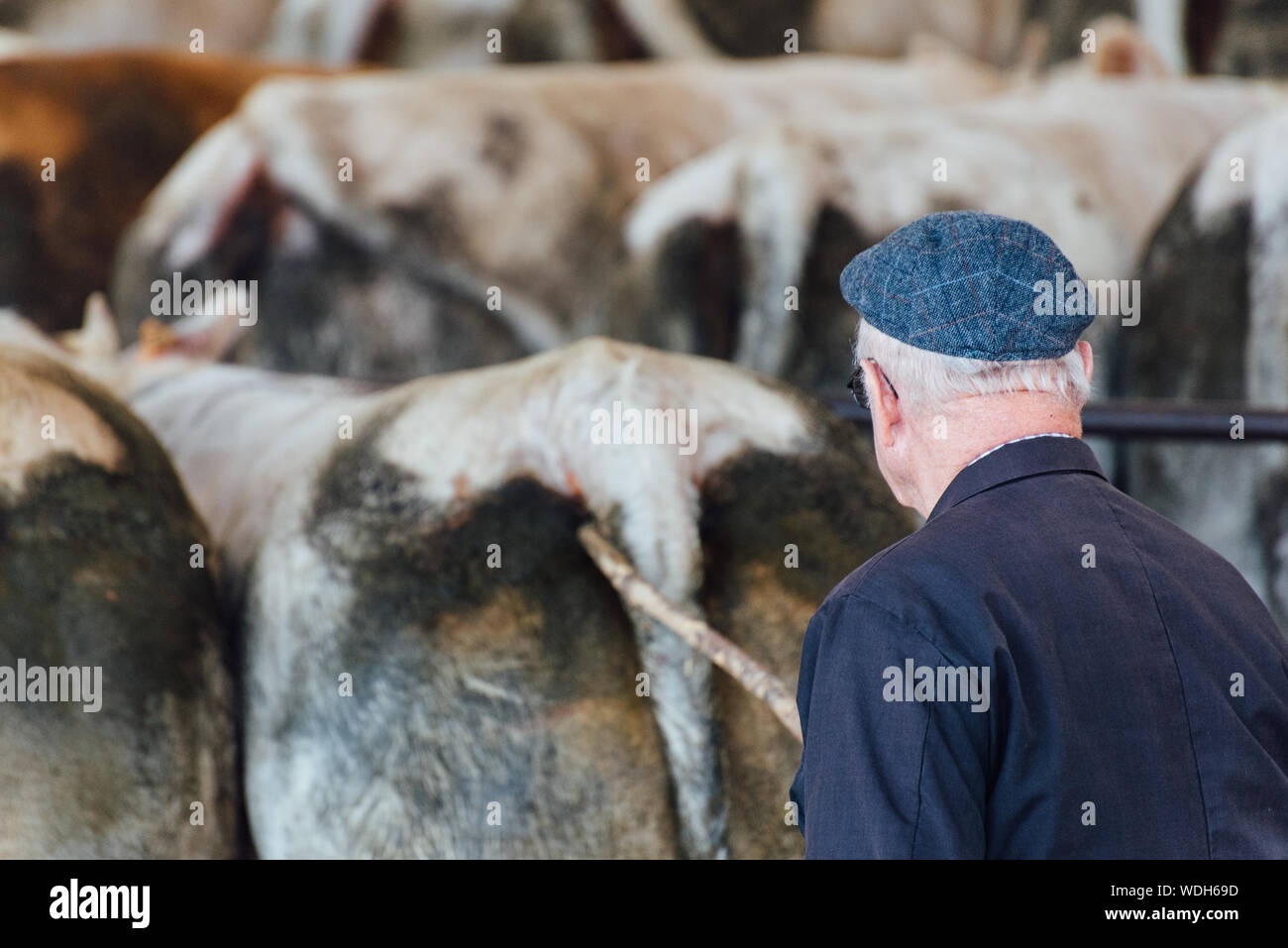 Man poking with stick hi-res stock photography and images - Alamy