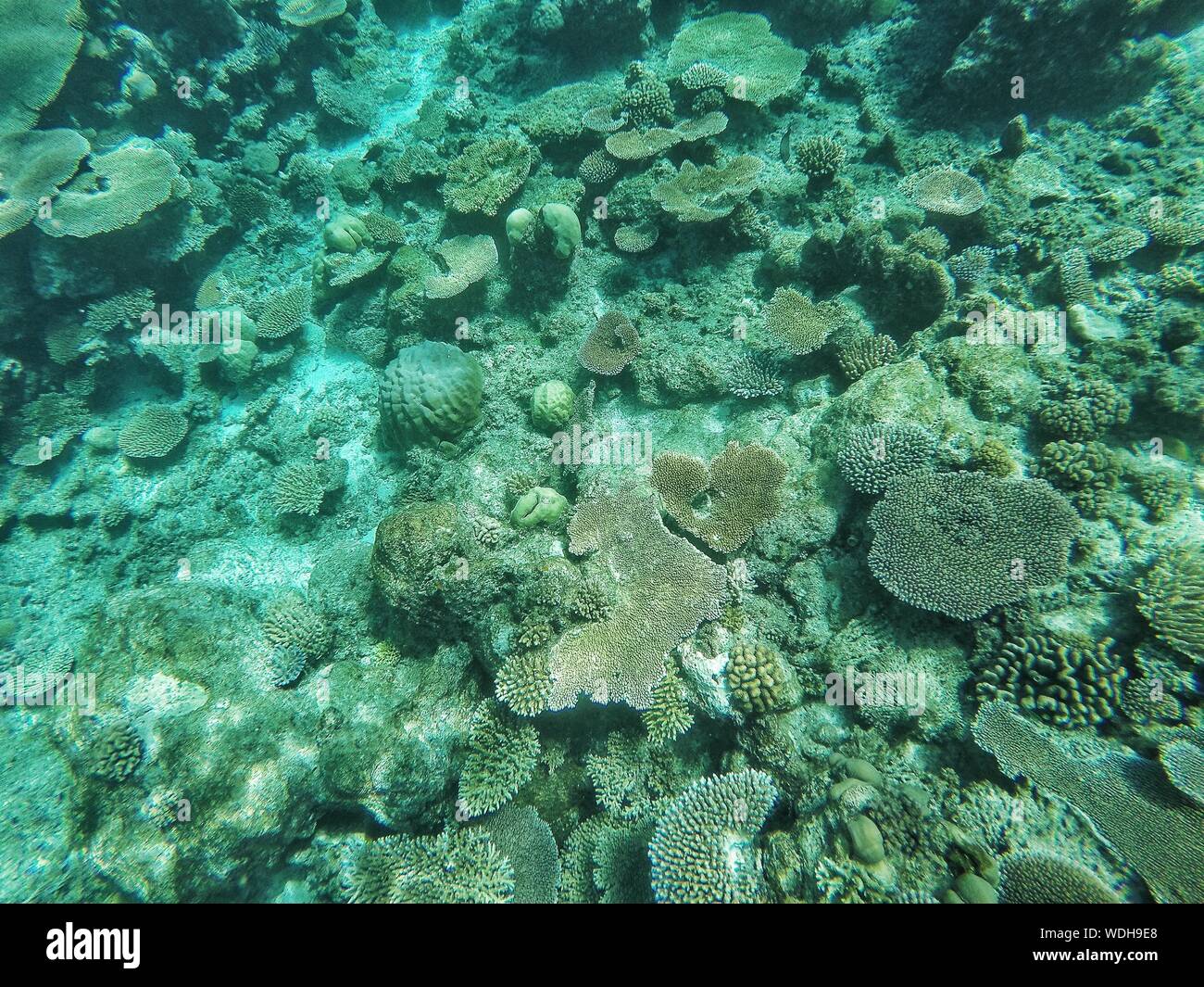Deep ocean floor hi-res stock photography and images - Alamy